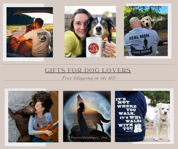 Thunderpaws Inc | Thunderpawsinc | Collars and Harnesses for Dogs ...